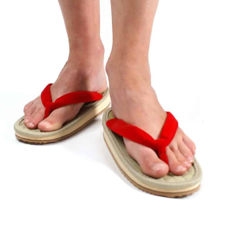 The Zoris: Traditional Japanese Shoes - ROPPONGI